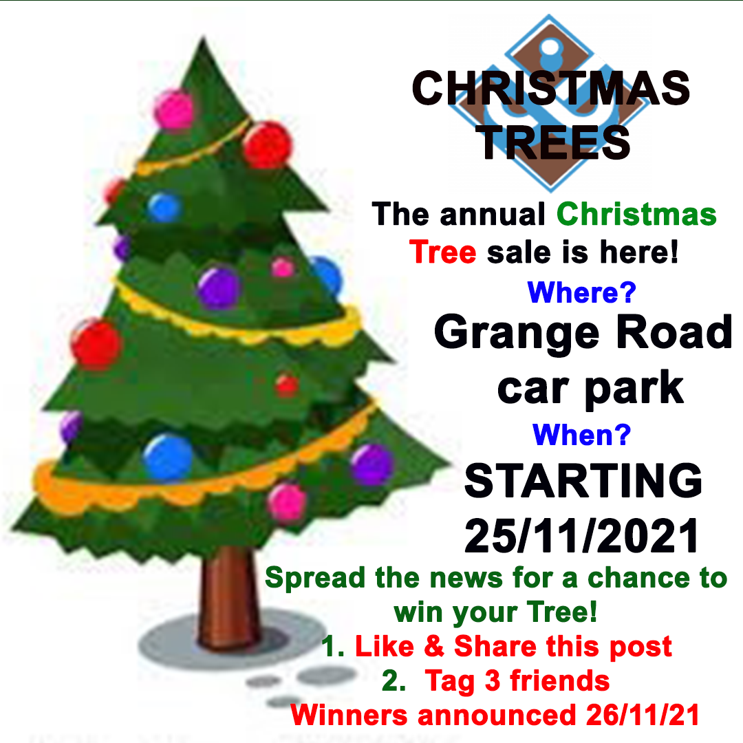 Christmas trees, Fixtures & Results – Three Rock Rovers